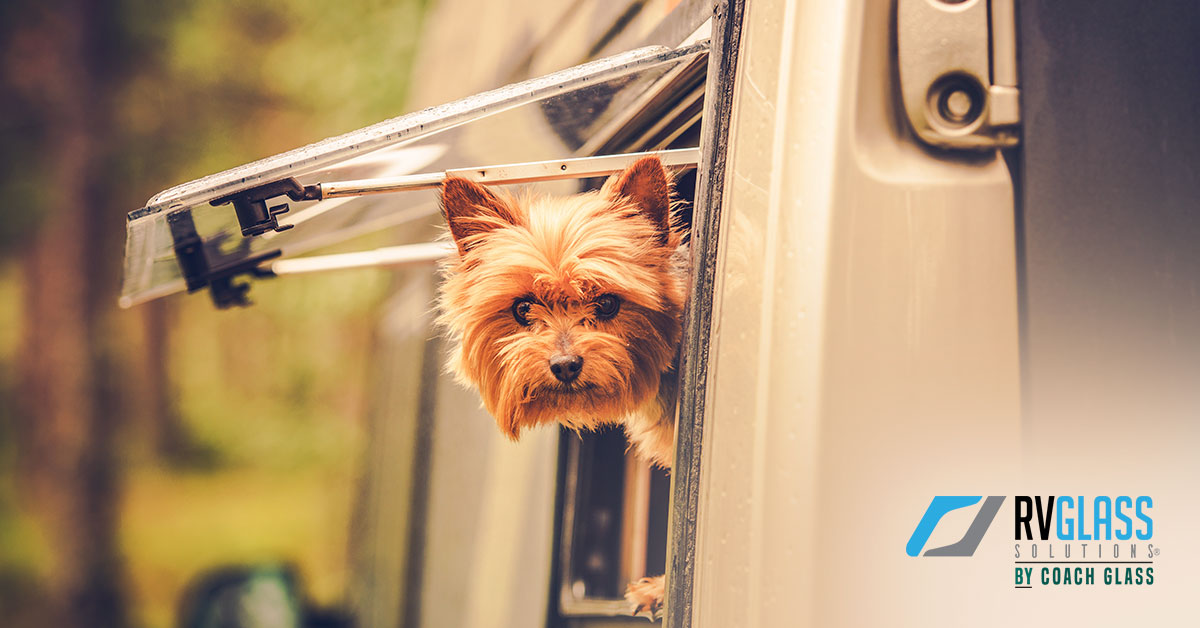 Paws of Fame | RV Glass Solutions by Coach Glass